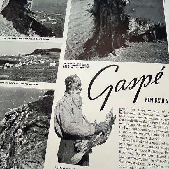 None and/or Unknown | Other | Gasp Peninsula The Bonaventure Isand Bird ...